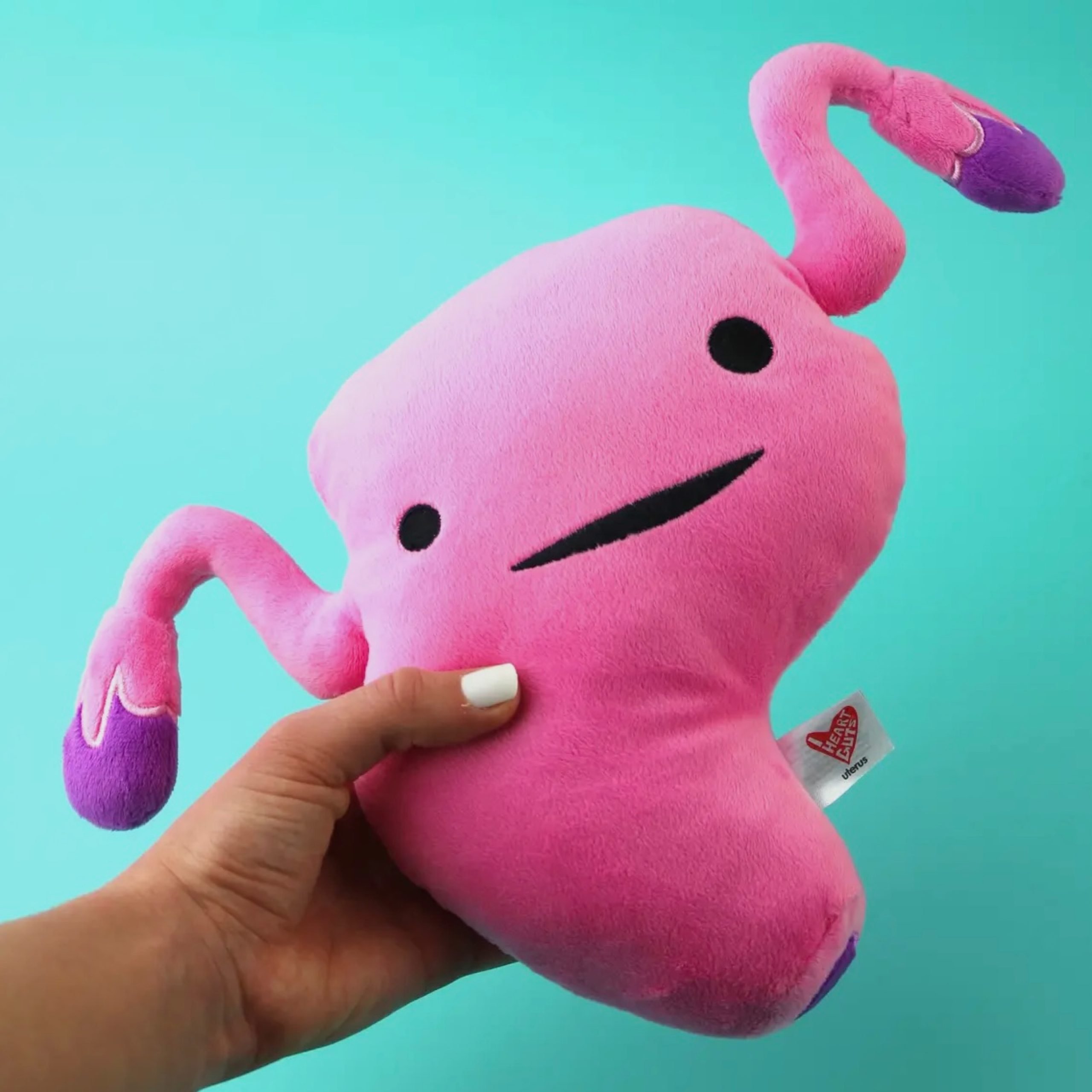 Huge Uterus Plush: Womb Service - International Museum of Surgical Science