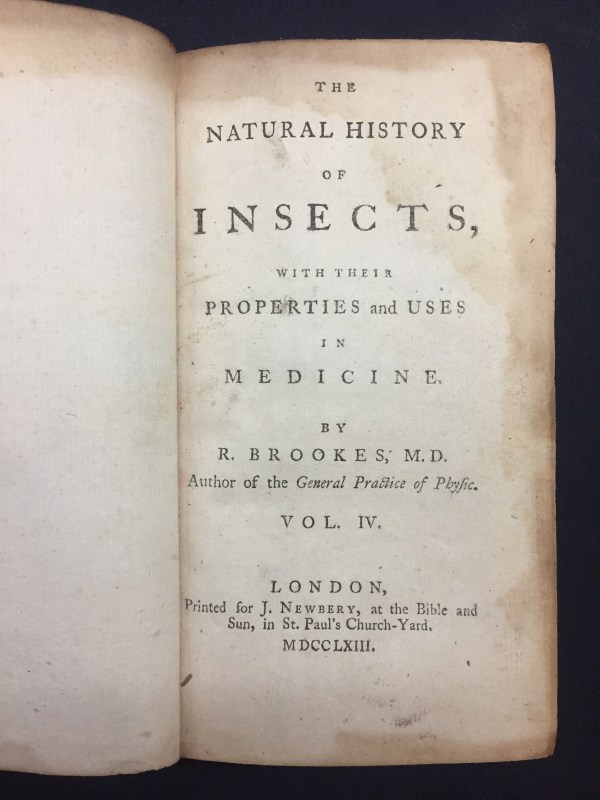 Entomotherapy: The Medical Use of Insects - International Museum of ...