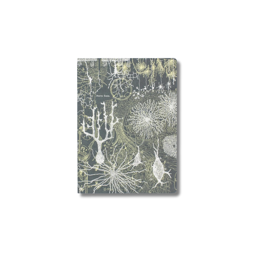 Neurons Softcover Notebook (Lined Paper) - International Museum of ...