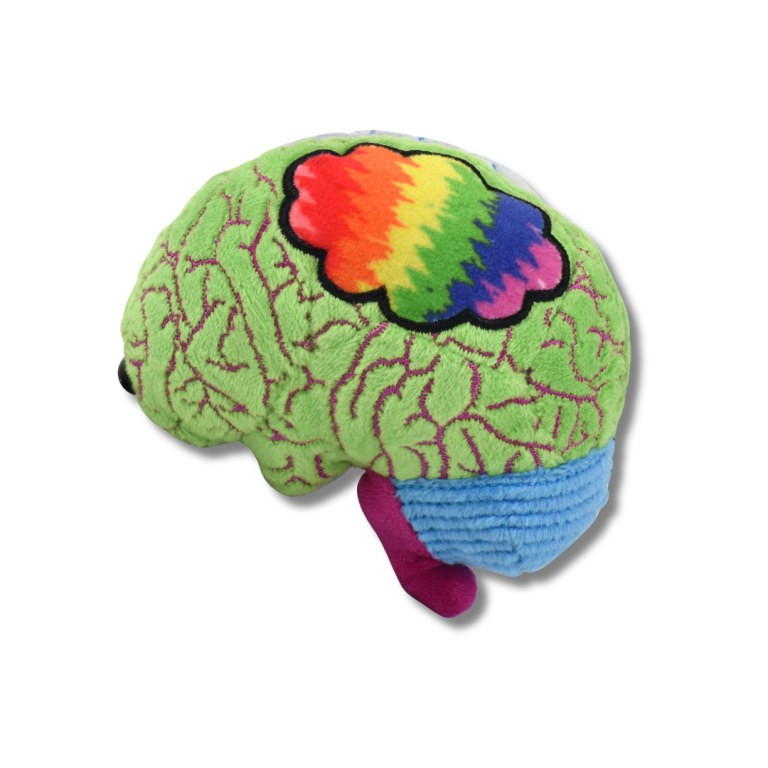 The Collection - International Museum of Surgical Science